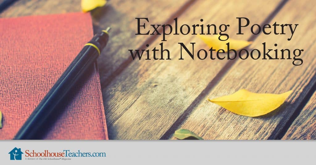 Homeschooling Tips from A to Z for 2022: The Letter N - Homeschooling ...