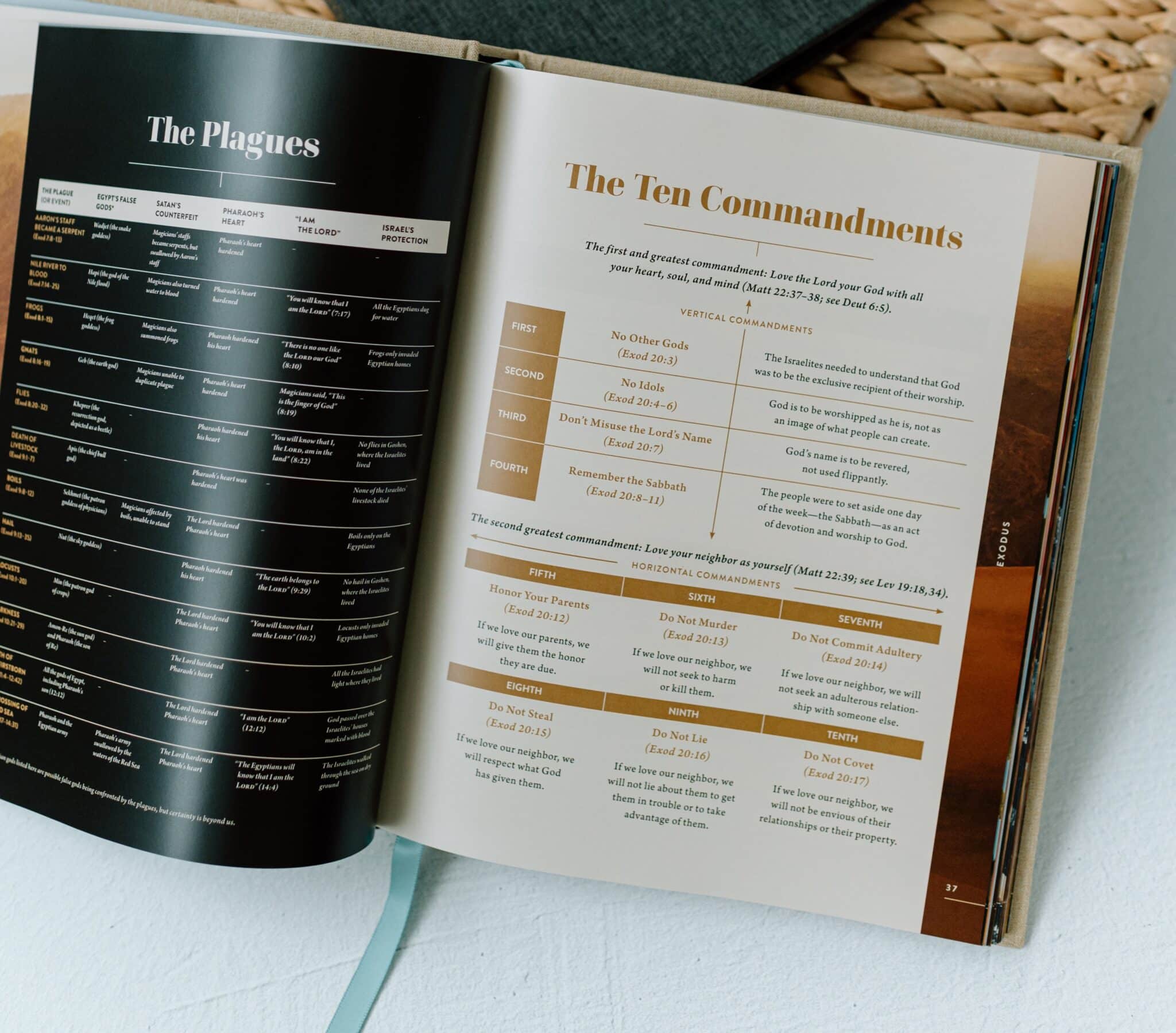 Learn More About the Bible with The Old Testament Handbook ...